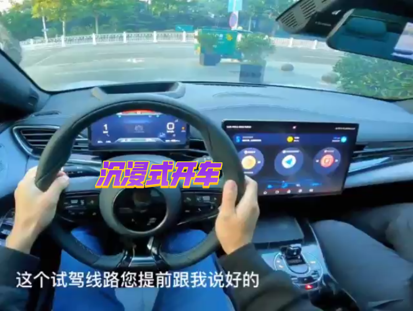 沉浸式开车,比亚迪海豚