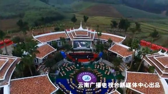 世界咖啡科学大会 我们在德宏航拍咖啡种植园