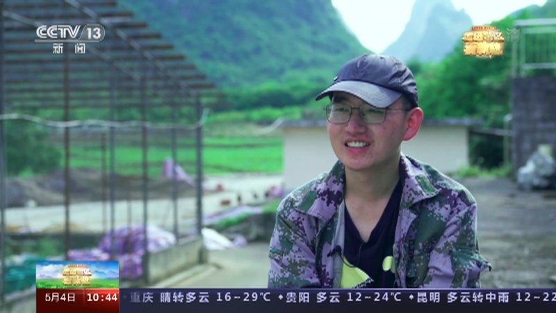 ...老区看新貌]广西 青年学子以缓解贫困为主线探索石漠化综合治理模式