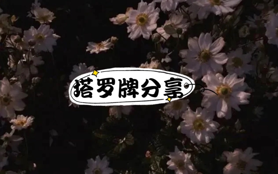 【麻薯的小小疗愈】卡牌分享--塔罗牌收藏分享