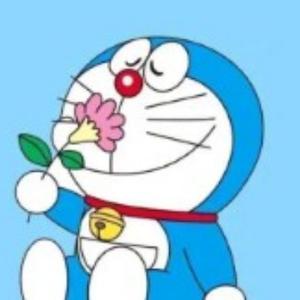 前期城更搬砖妹子 