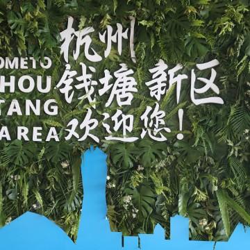 钱塘新区发布 