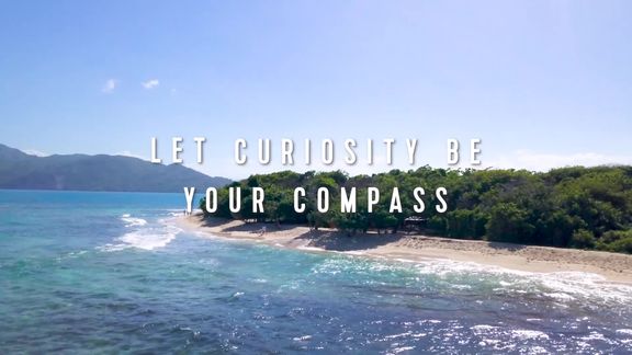 皇家加勒比邮轮带你探险原始森林里的生物