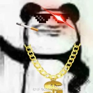 大聪明xx 