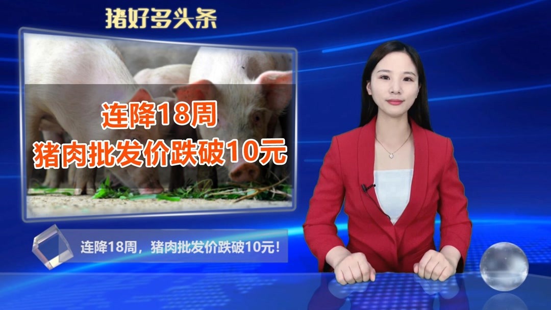 连降18周,猪肉批发价跌破10元!专家:避免一哄而上、盲目扩产