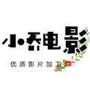 小乔电影、 