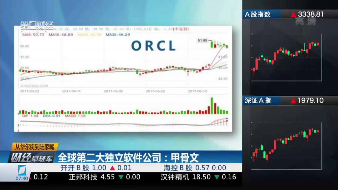 全球第二大独立软件公司:甲骨文