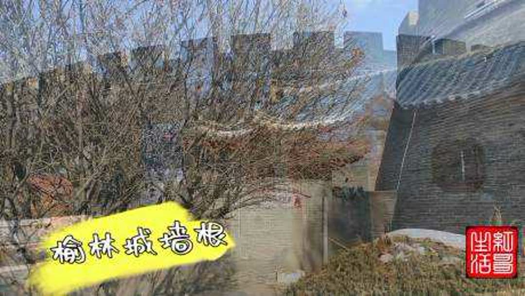 红哥带你逛榆林,城墙根走一遭,让你叹服榆林古城魅力