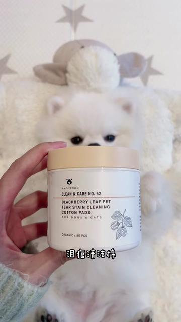 眼部护理来喽萌宠日常记录笨蛋小狗治愈系萌宠博美