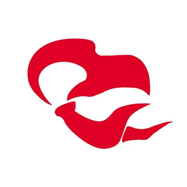 小学生小白白 