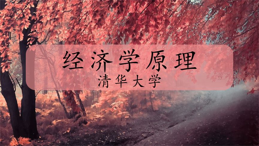 【清华大学】经济学原理 - P12 - 弹性及其应用2