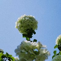 Assia阿夏的生活美学 