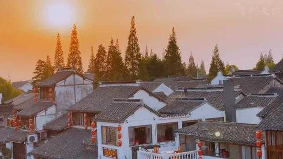 你见过这样的上海么?……魔都上海有很多面,这一面最柔软☀️