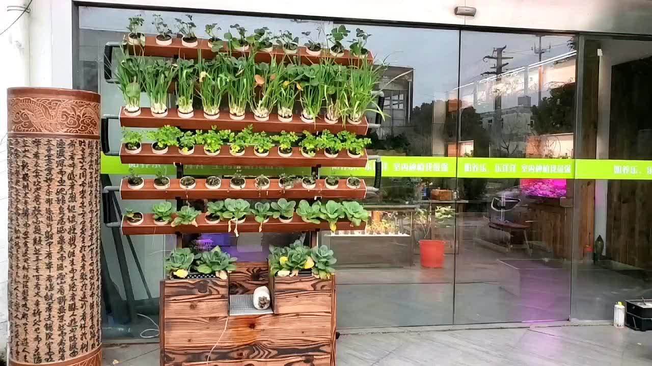 成本更低,配件更少,制作更简单的阳台鱼菜共生系统设计好了