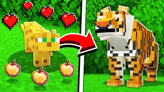 我的世界全新动物模组更新,猎鹰,老虎,巨型蜂王登场