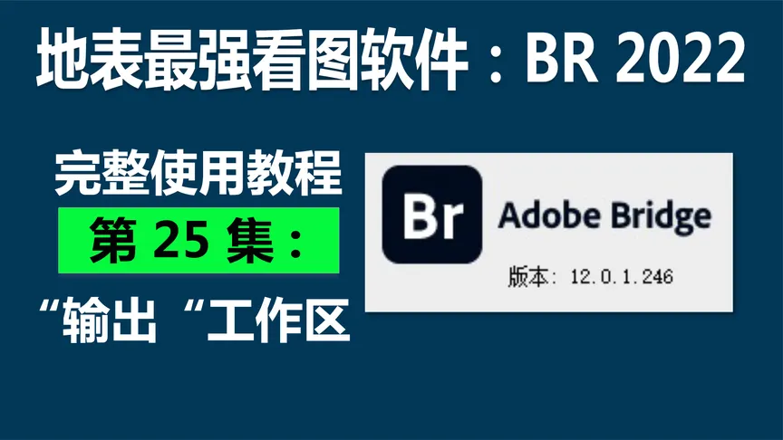 地表最强看图软件:BR2022完整教程第25集“输出”工作区