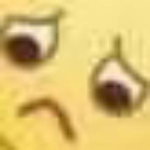 爱吃肉的小月酱 