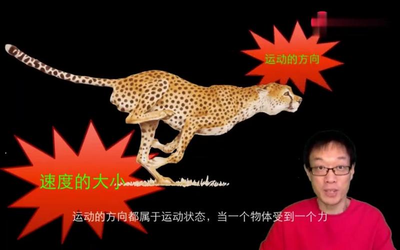 八年级物理下册 2 力的作用效果 初二物理