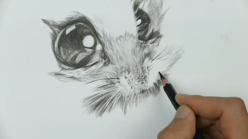 素描萌宠:吃胡萝卜的小仓鼠