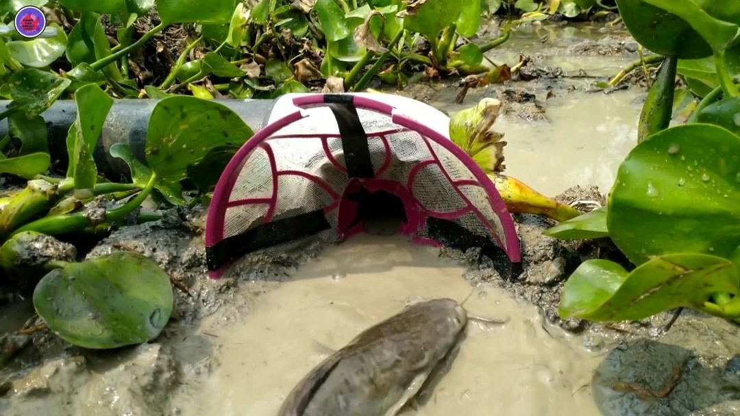 神奇的钓鱼陷阱,PVC…全国产模式