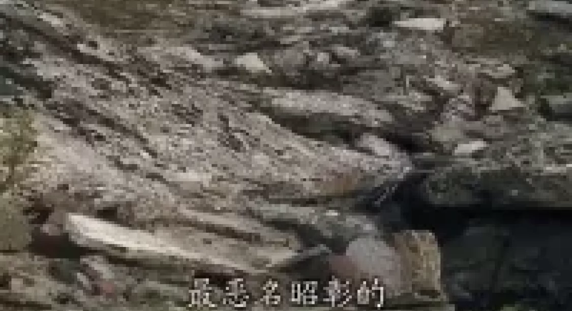 第二次世界大战历史全记录 16