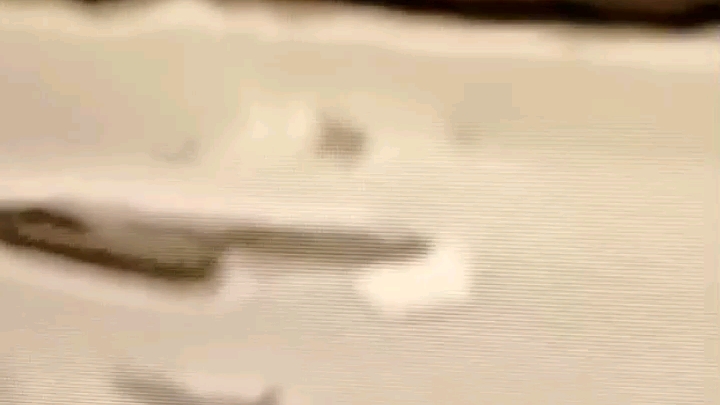 电视还能用鼠标?