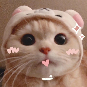 是艾弟啊 