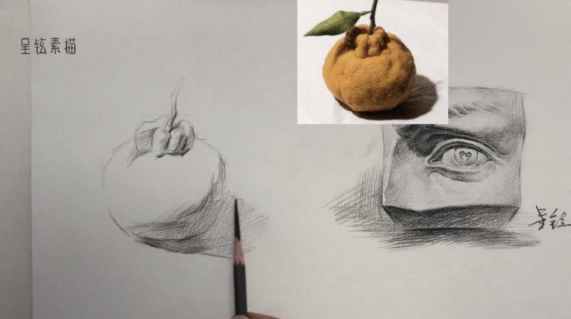 丑橘是静物素描里常见的水果之一!很简单,别错过了