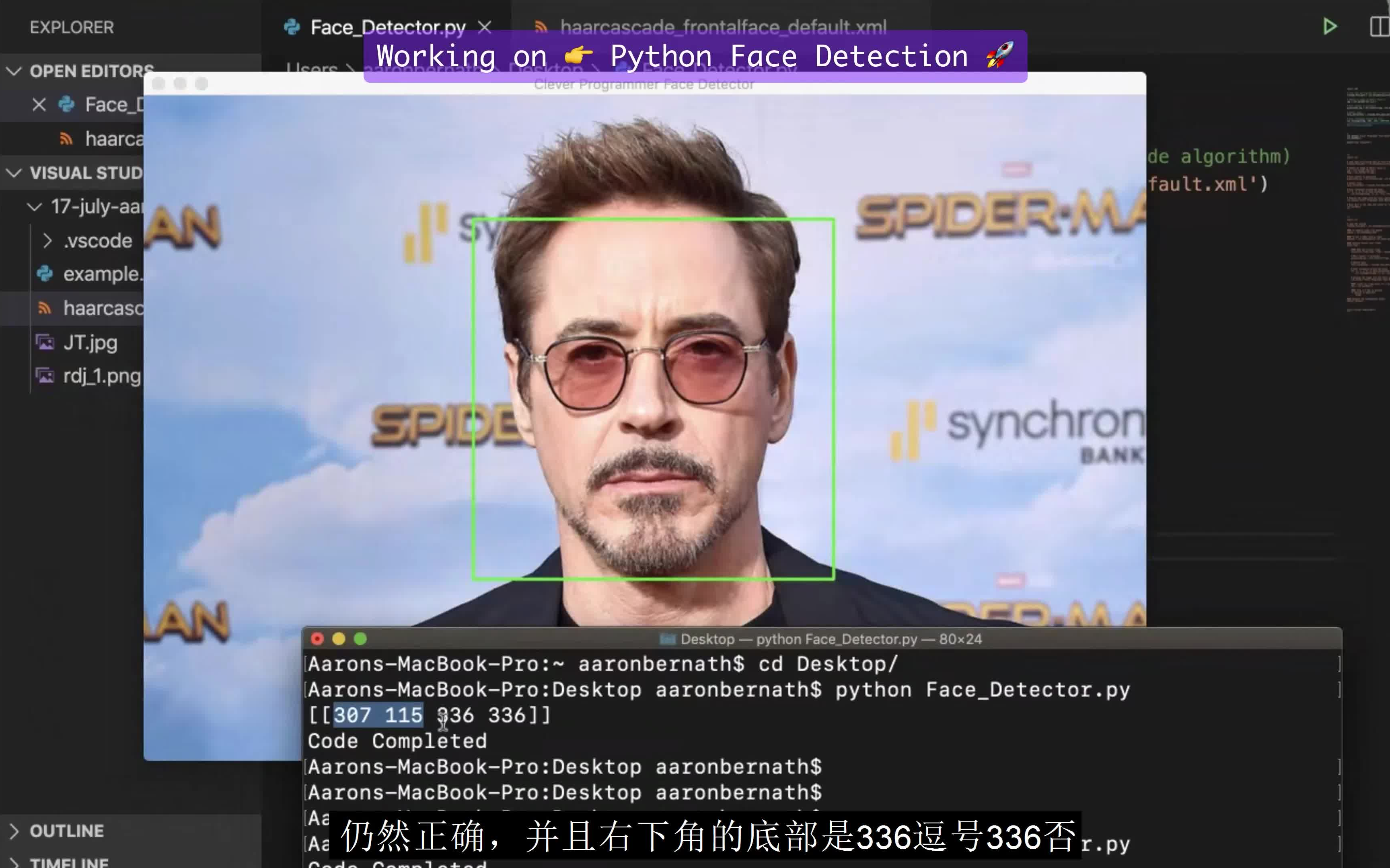 4K 使用python 识别动态人脸图像项目,全程实时编程,人工智能配中文...