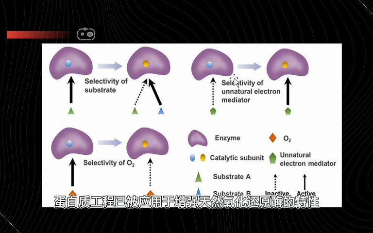 每日一合成生物学进展 2022.7.12 电化学生物传感器的蛋白质工程。