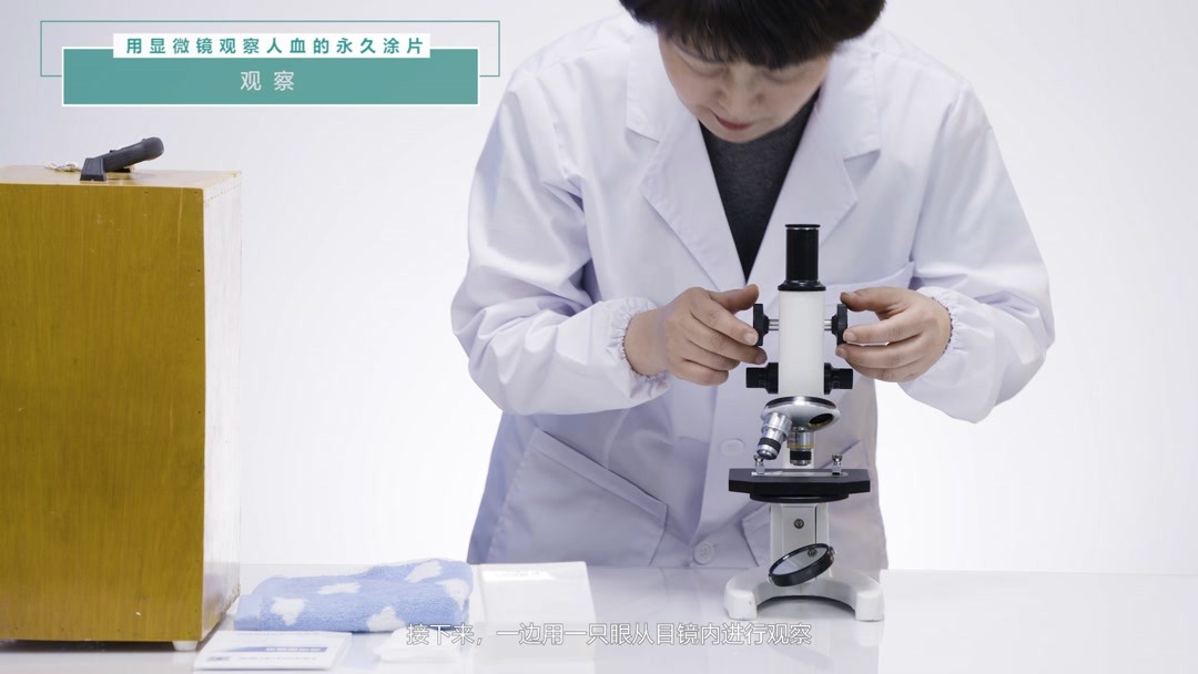 终版11用显微镜观察人血的永久涂片
