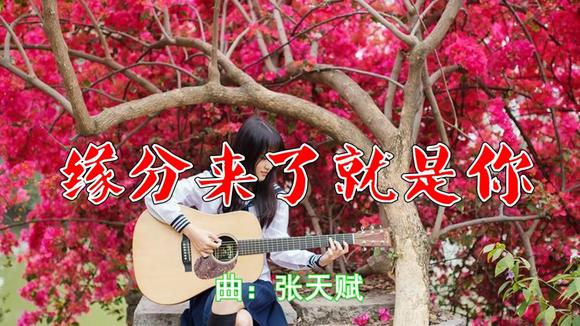 《 缘分来了就是你》今生注定我和你有缘千里来相会