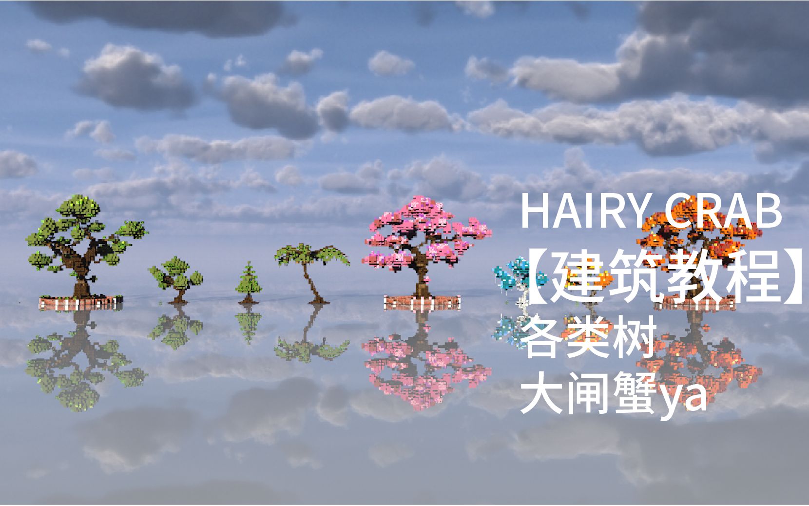 【建筑教程】几种树