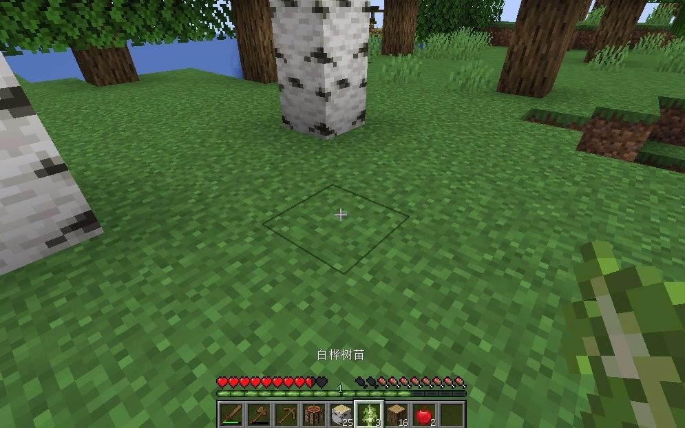 我的世界1.19服务器实况(手机也能玩)