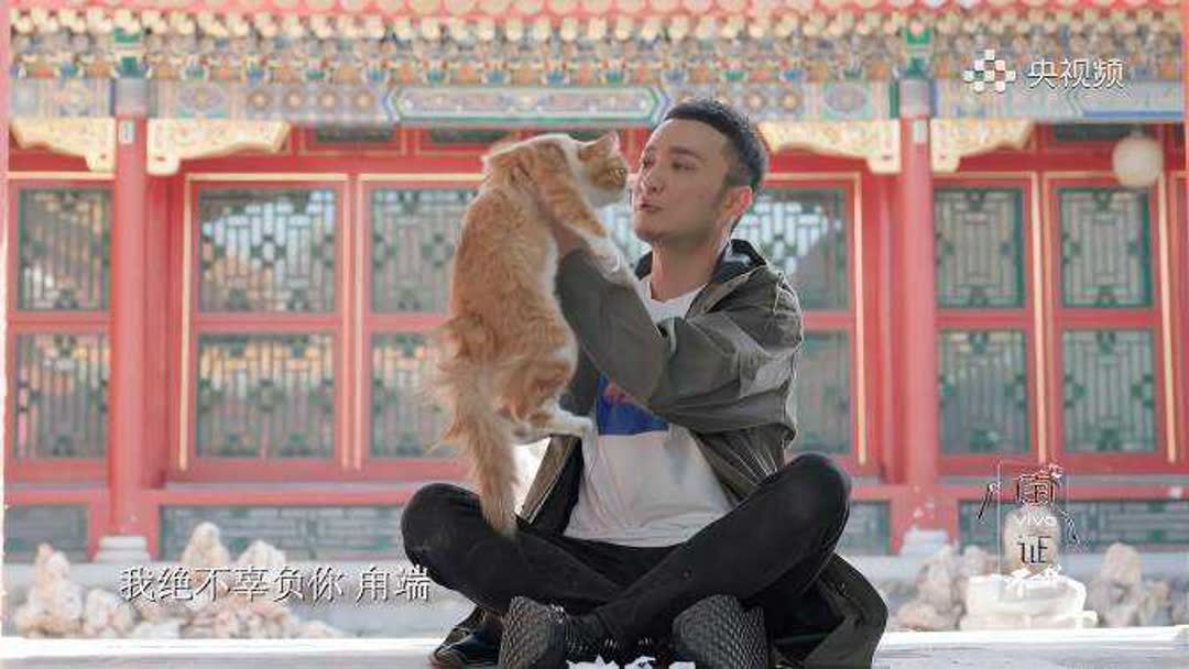 《宝证不一样》宣传片精彩来袭!小尼化身宝藏1号联络员与猫特工故宫...