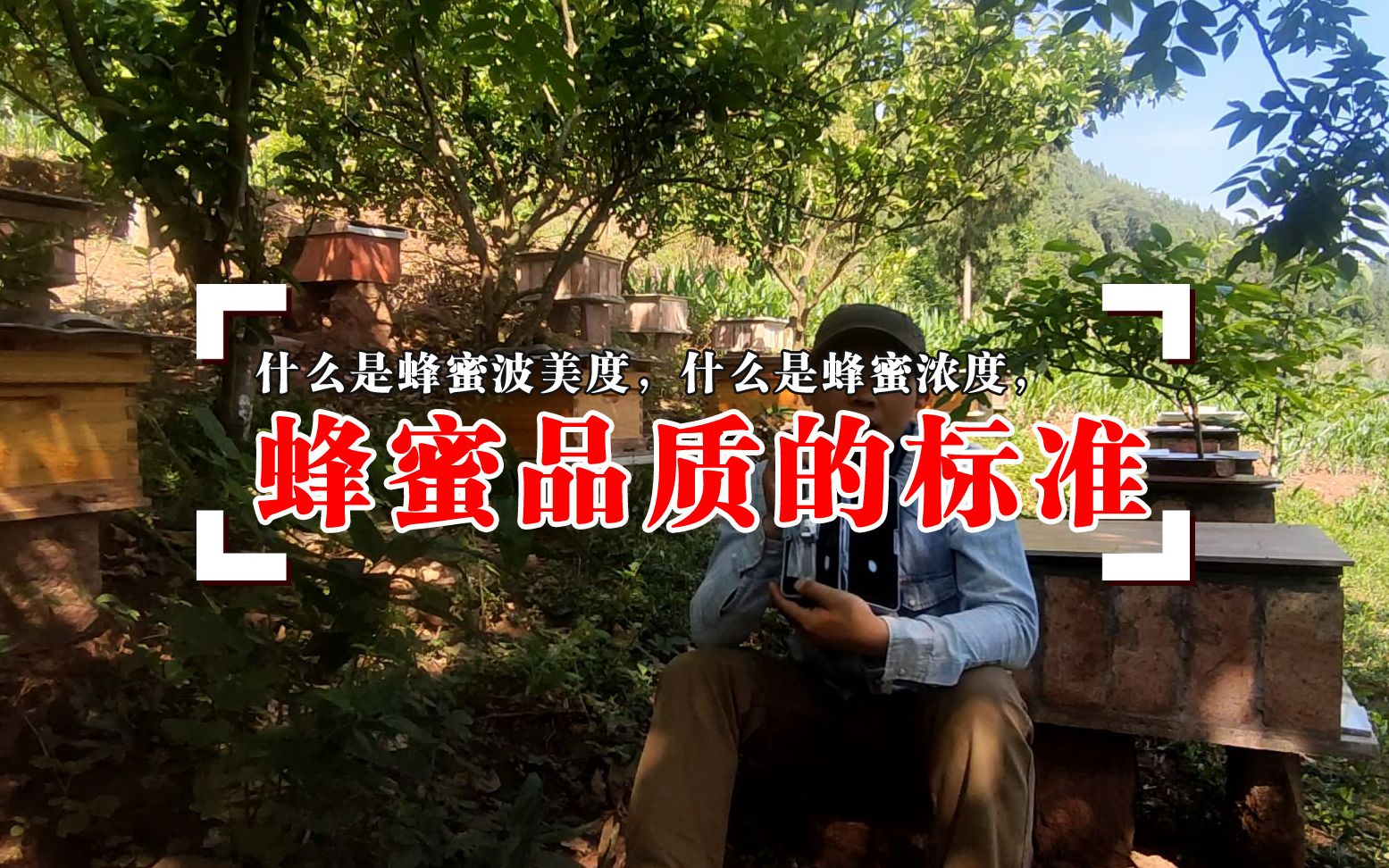 什么是蜂蜜波美度和浓度,蜂蜜等级标准是什么?听养蜂小伙怎么说