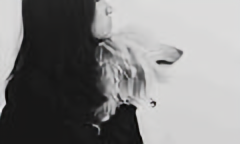 掌上明珠的宅家日记 