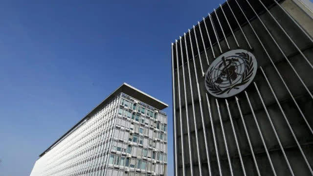 世卫组织看不下去了,关键时刻站出来发声