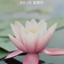 喜欢玩台球の公良绍晖 