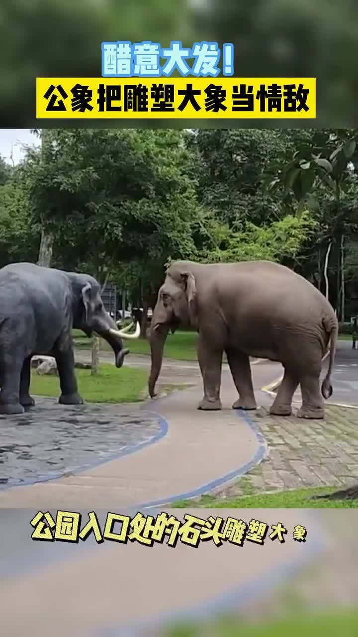 泰国一头公象把雕塑大象当情敌撞翻在地 #大象 #吃醋了 #奇怪的情敌增加了