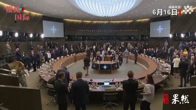 果然视频·樱桃国际|新任北约秘书长"难产",成员国各有小九九