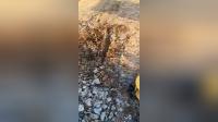 设施现场签证现场讲解