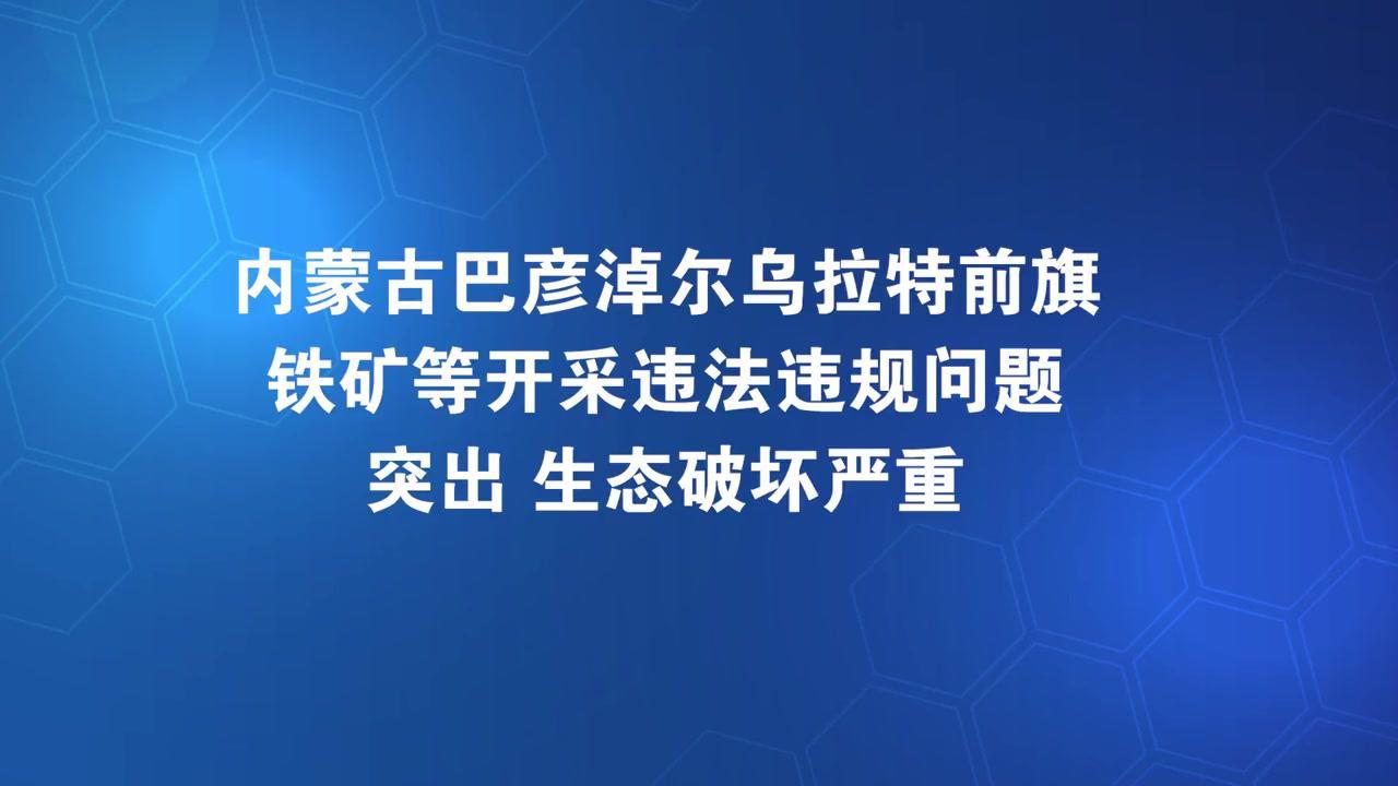 额济纳旗鹏飞矿业有限责任公司属于什么行业
