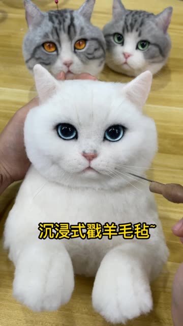 沉浸式戳羊毛毡宠物猫咪