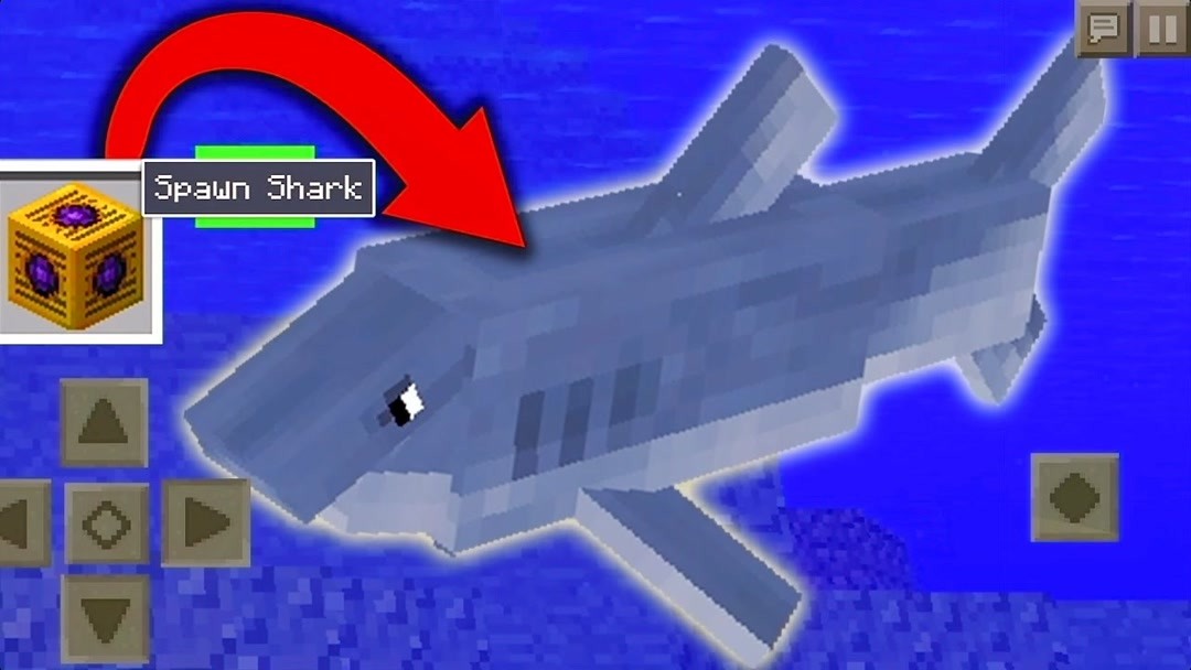 我的世界更多海洋生物,觉得比原版做的都要好