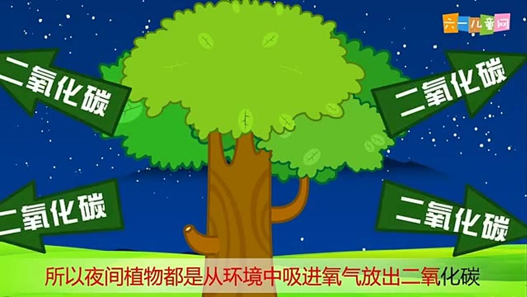 为什么清晨不能在树林中深呼吸