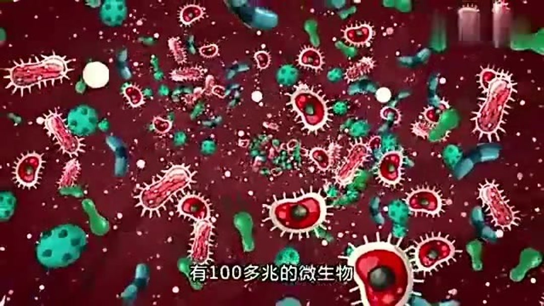 欢迎来到微生物的世界