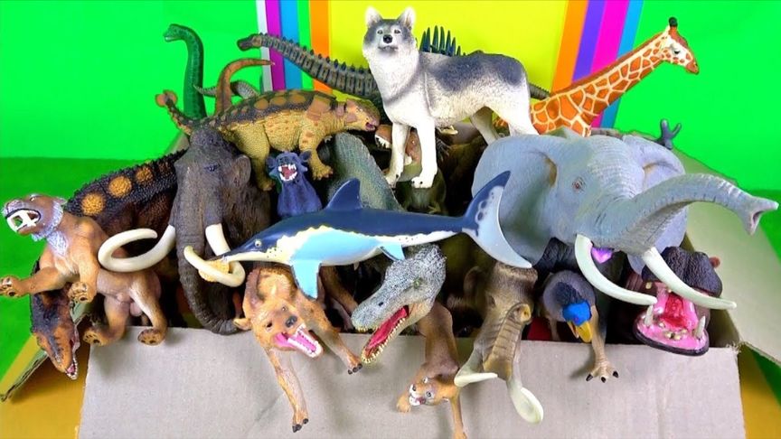 认识河马狼雌狮动物模型玩具