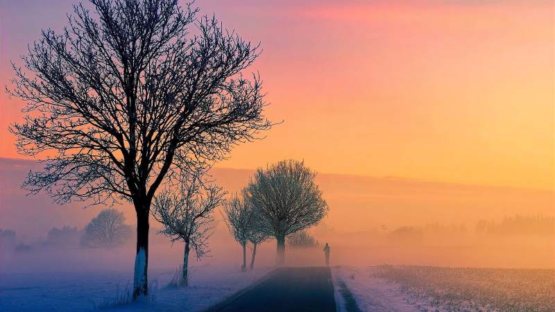 真正的自律,是战胜你自己