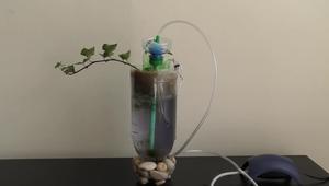 从此省掉水泵的钱,高手教你只用一个充氧泵打造一套鱼缸过滤系统